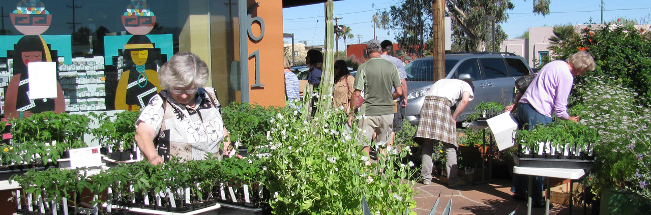 Native Seeds/SEARCH - Home